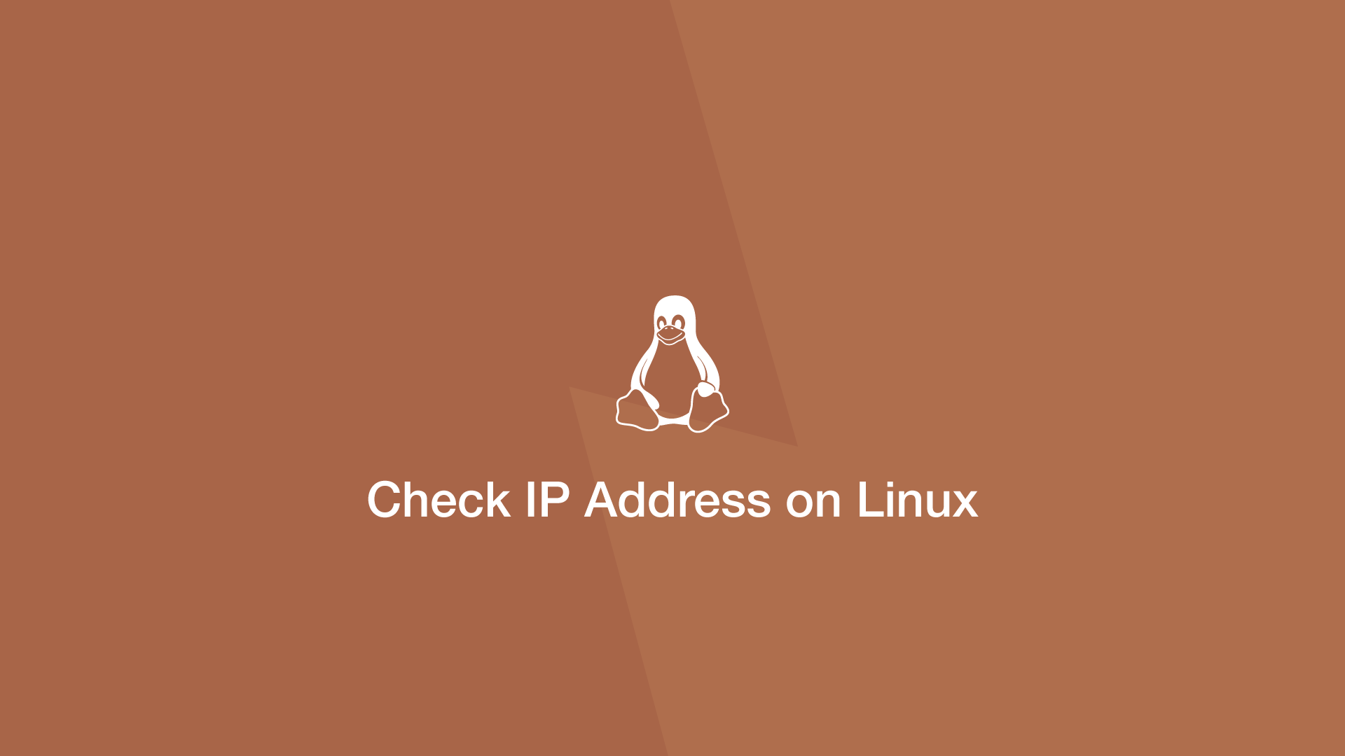 How To Check IP Address On Linux Using Command Line SkillSugar