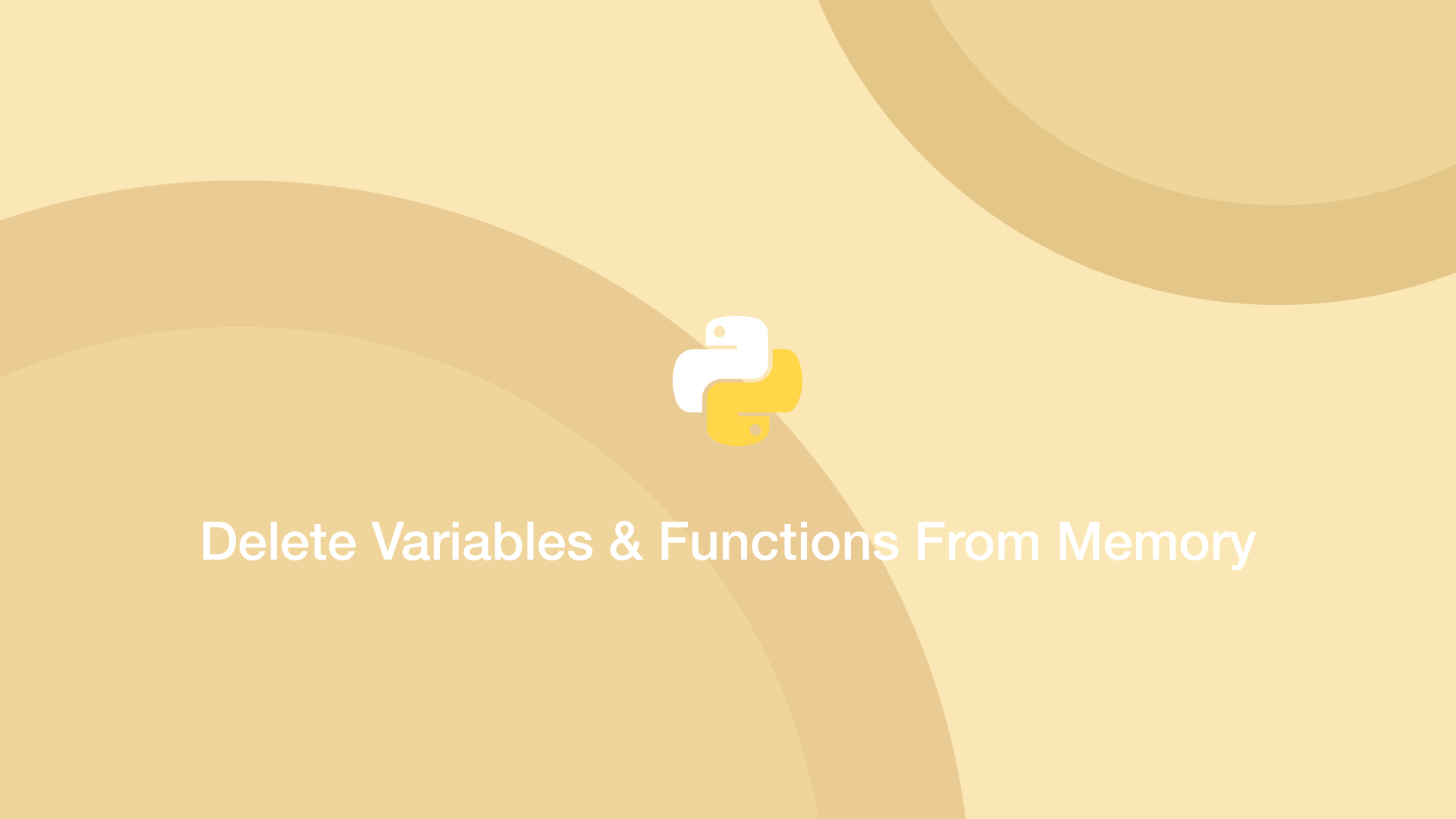 How To Delete Variables Functions From Memory In Python SkillSugar