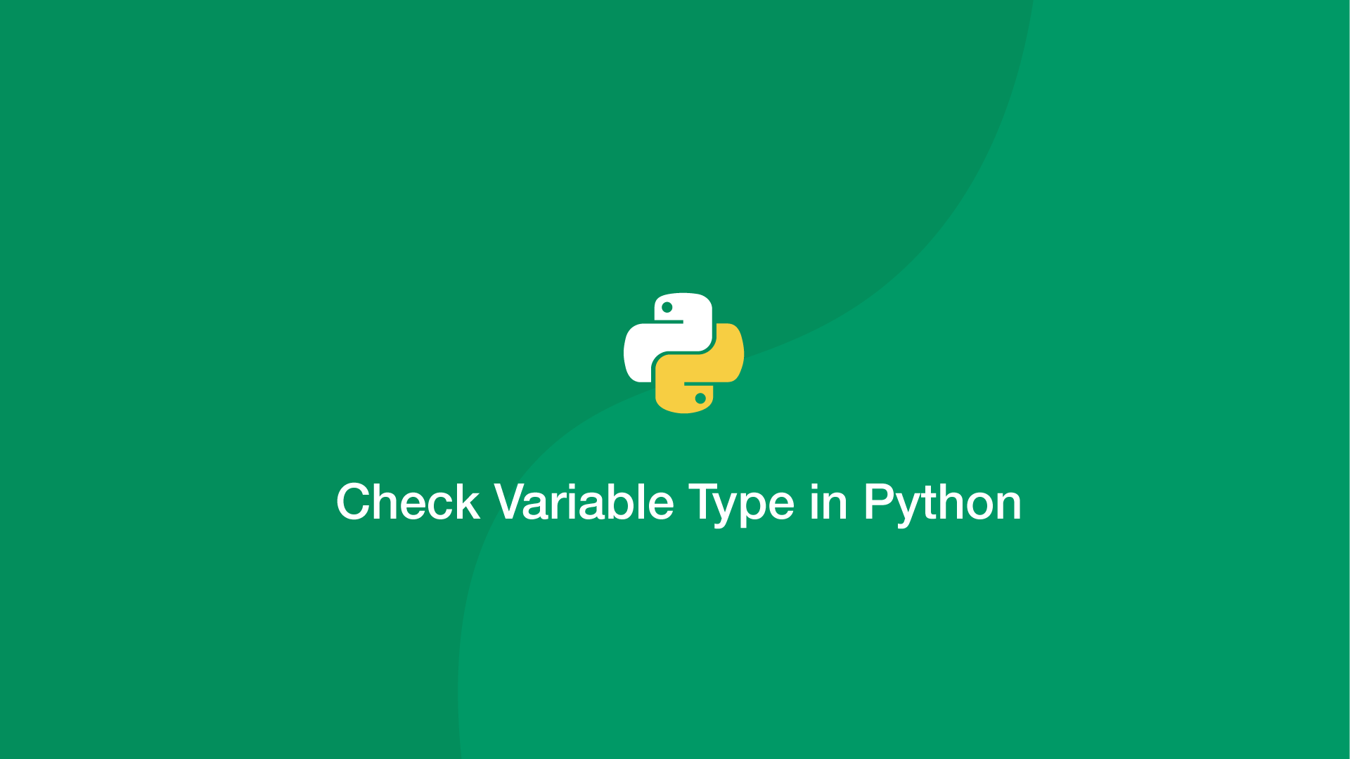 Check Variable Type In Python SkillSugar